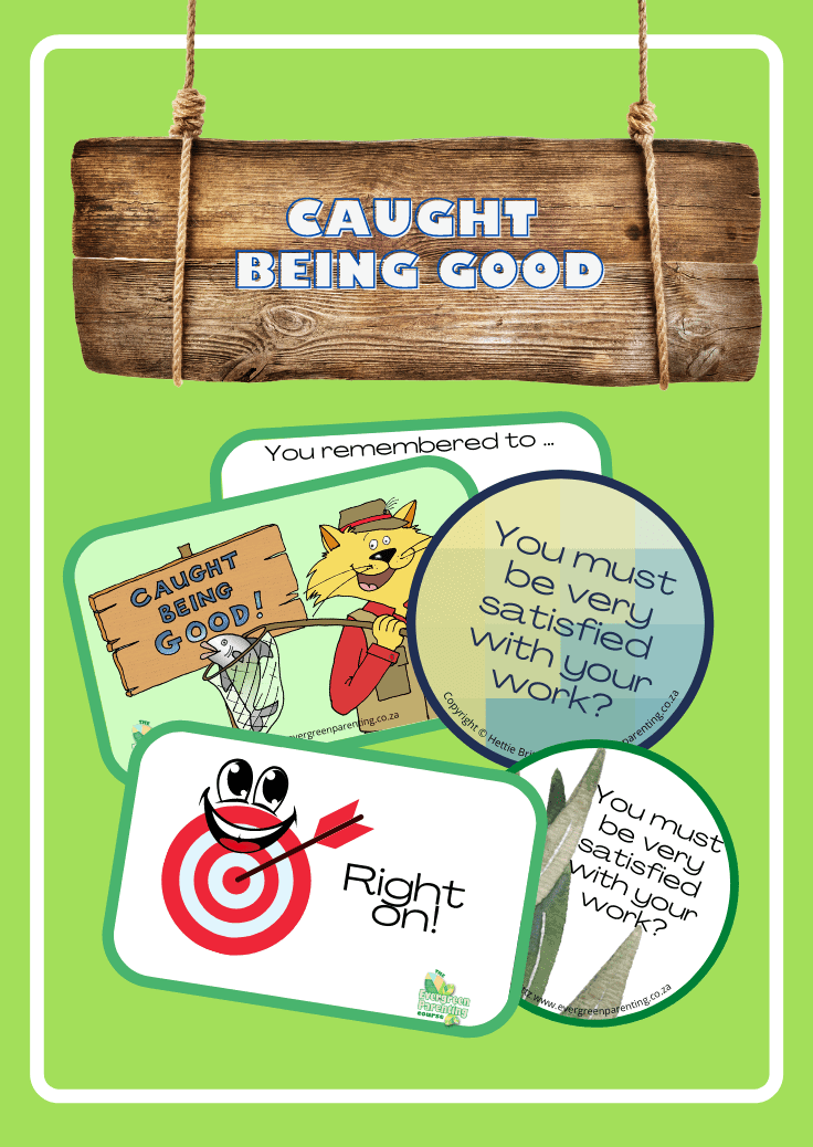 Caught being good – Evergreen